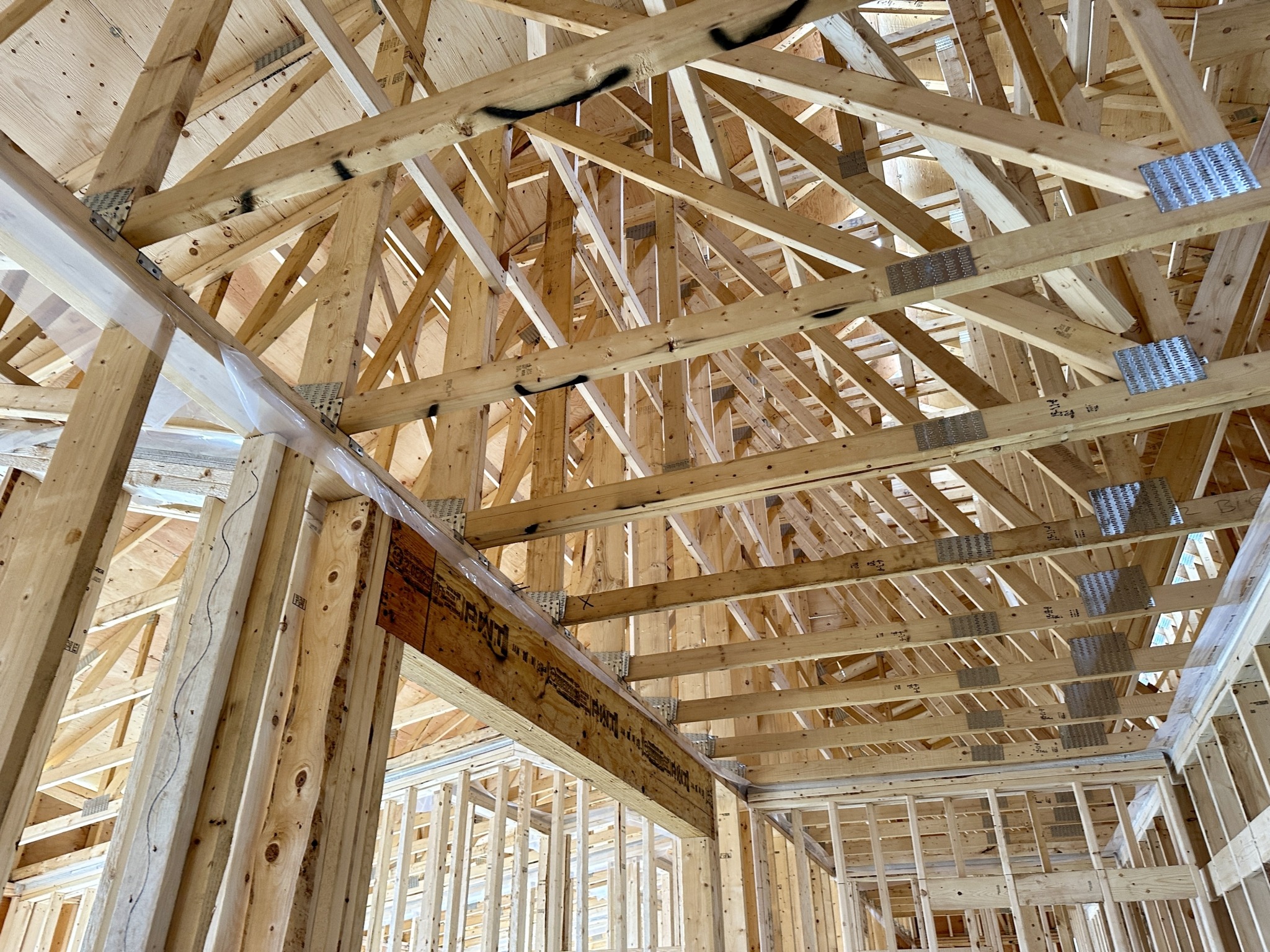 Rooted: Community Housing – Bruno Builders